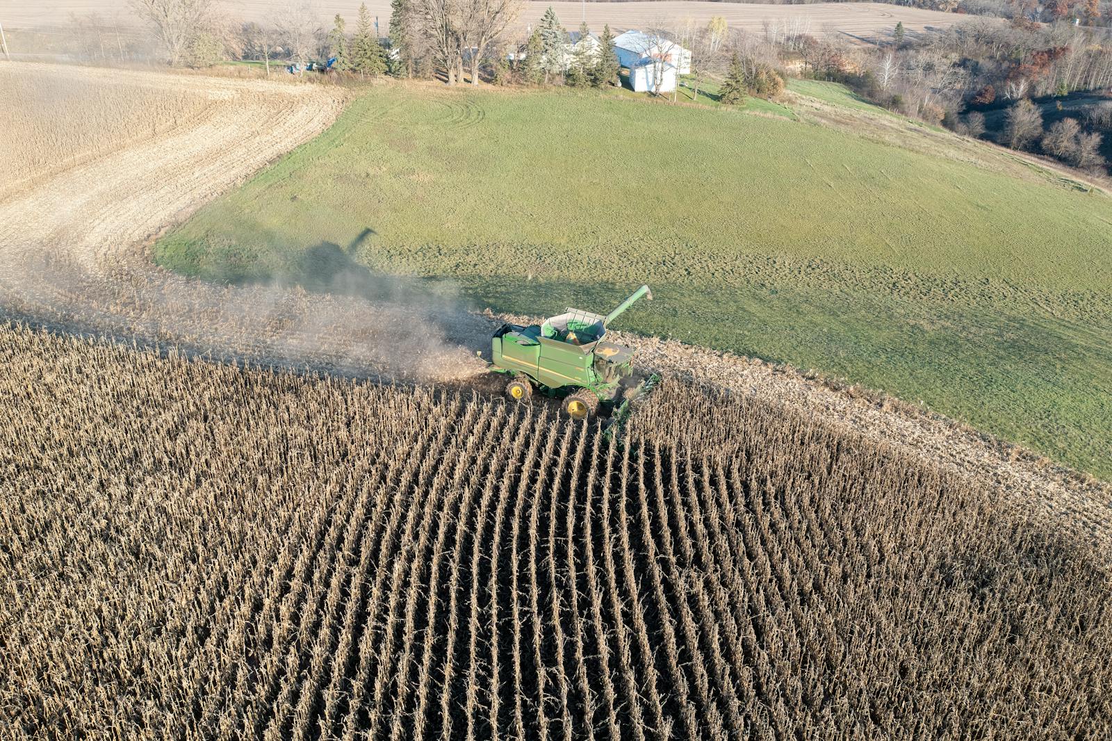 The Economy of Rwanda: A Comprehensive Overview - Afro Discovery