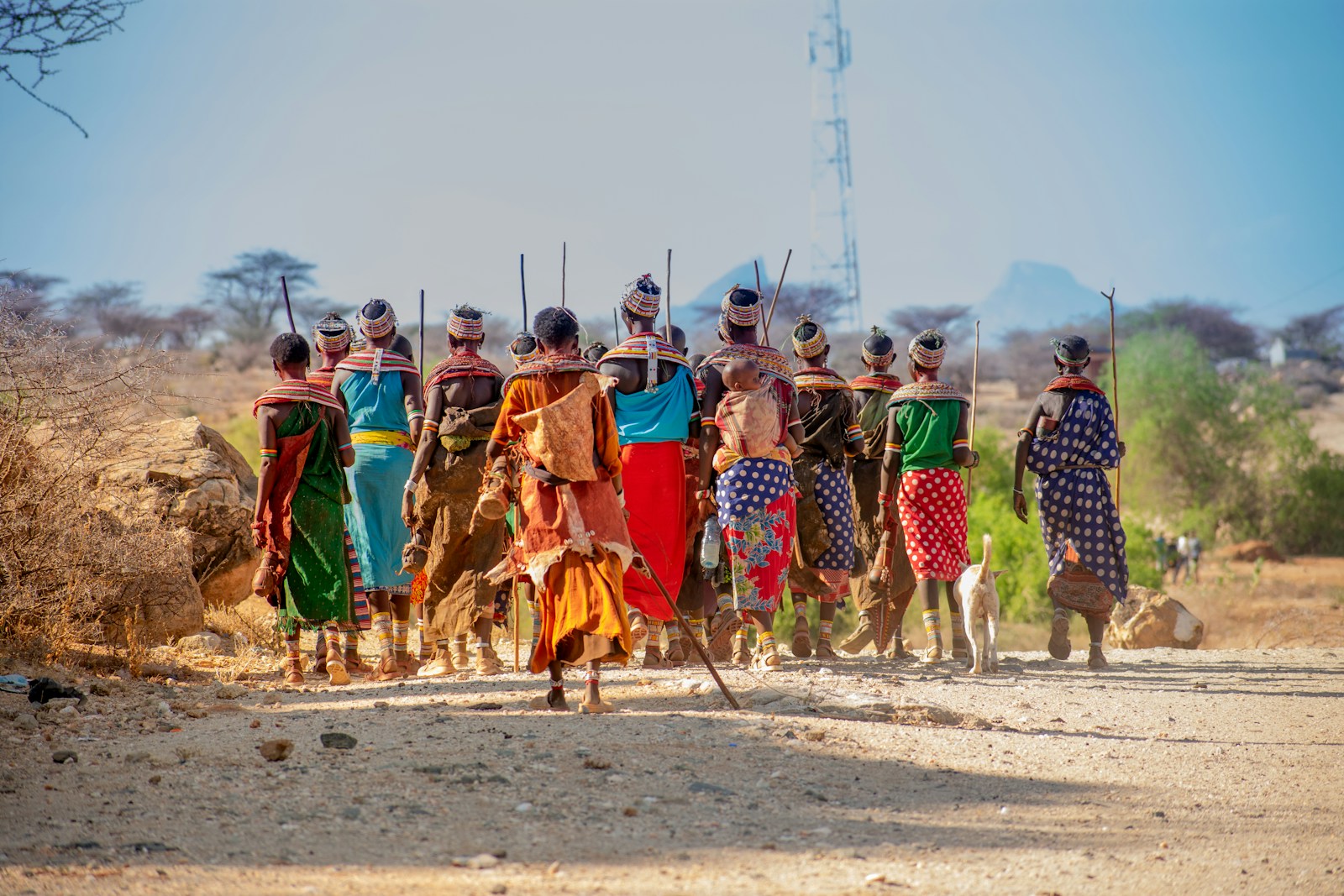 Gabon'S Cultural Diversity: Exploring Ethnic Groups And Indigenous ...