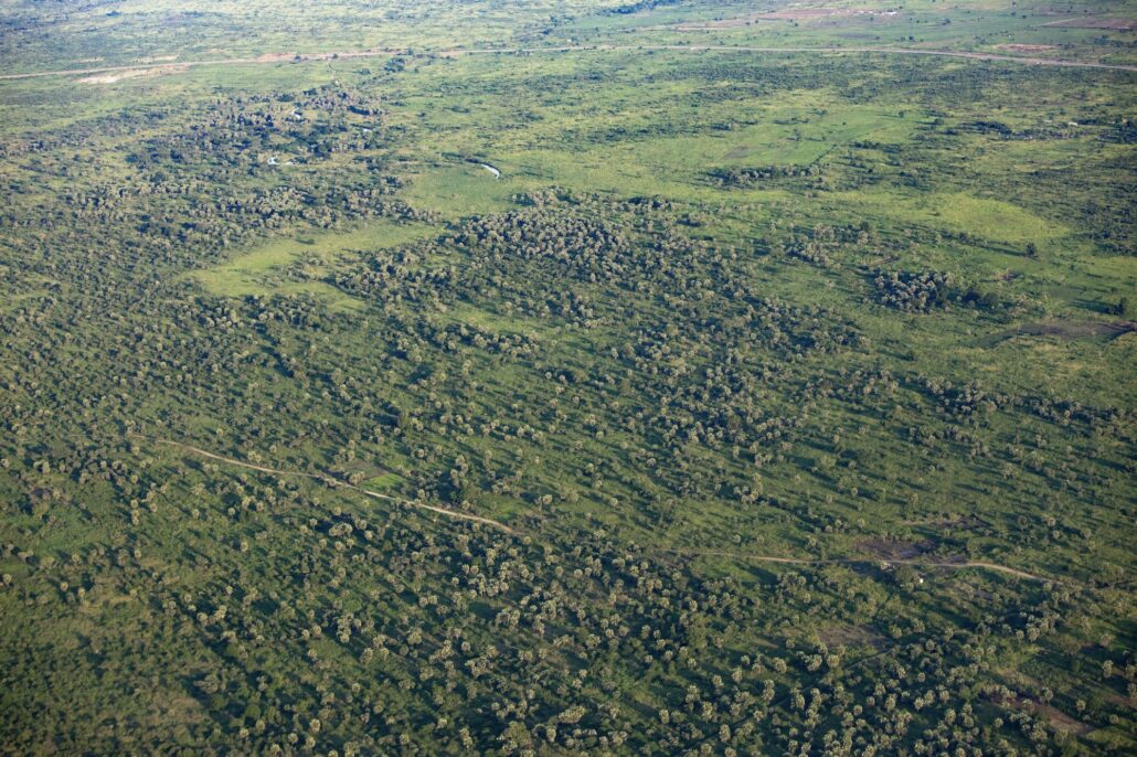 Discovering South Sudan'S Geographic Diversity: From Savannas to Swamps ...