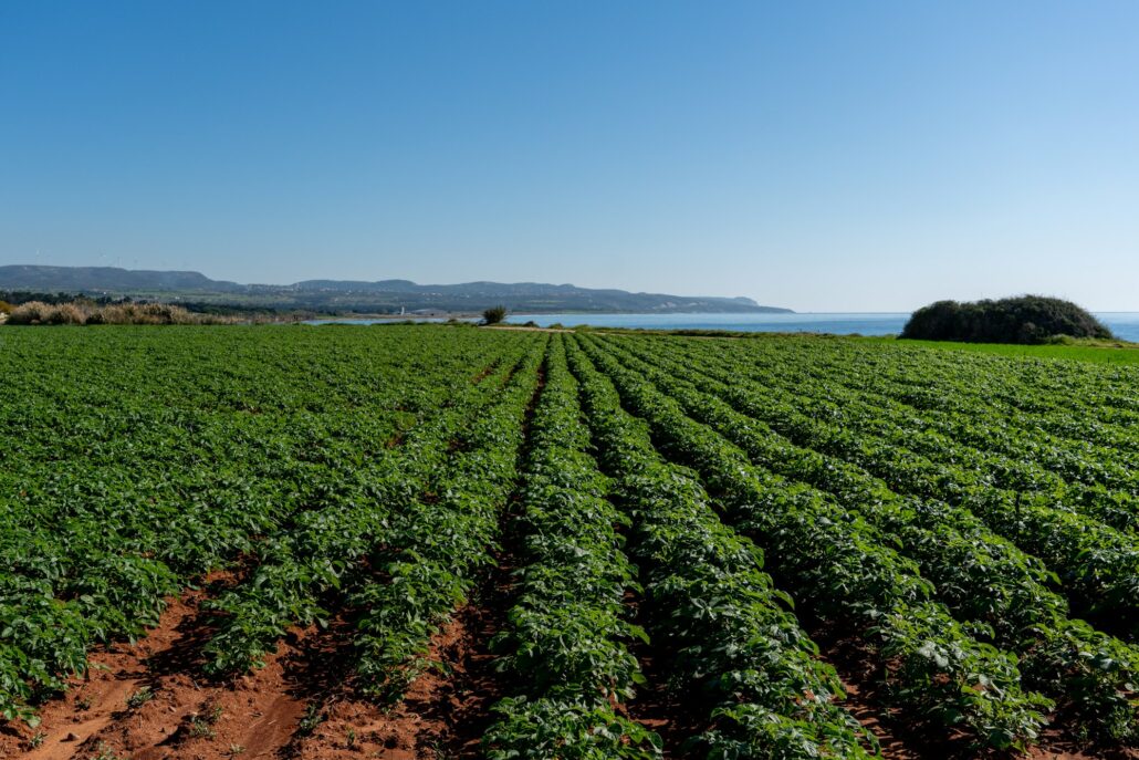 Sustainable Farming Practices in Namibia: Enhancing Resilience And Food ...