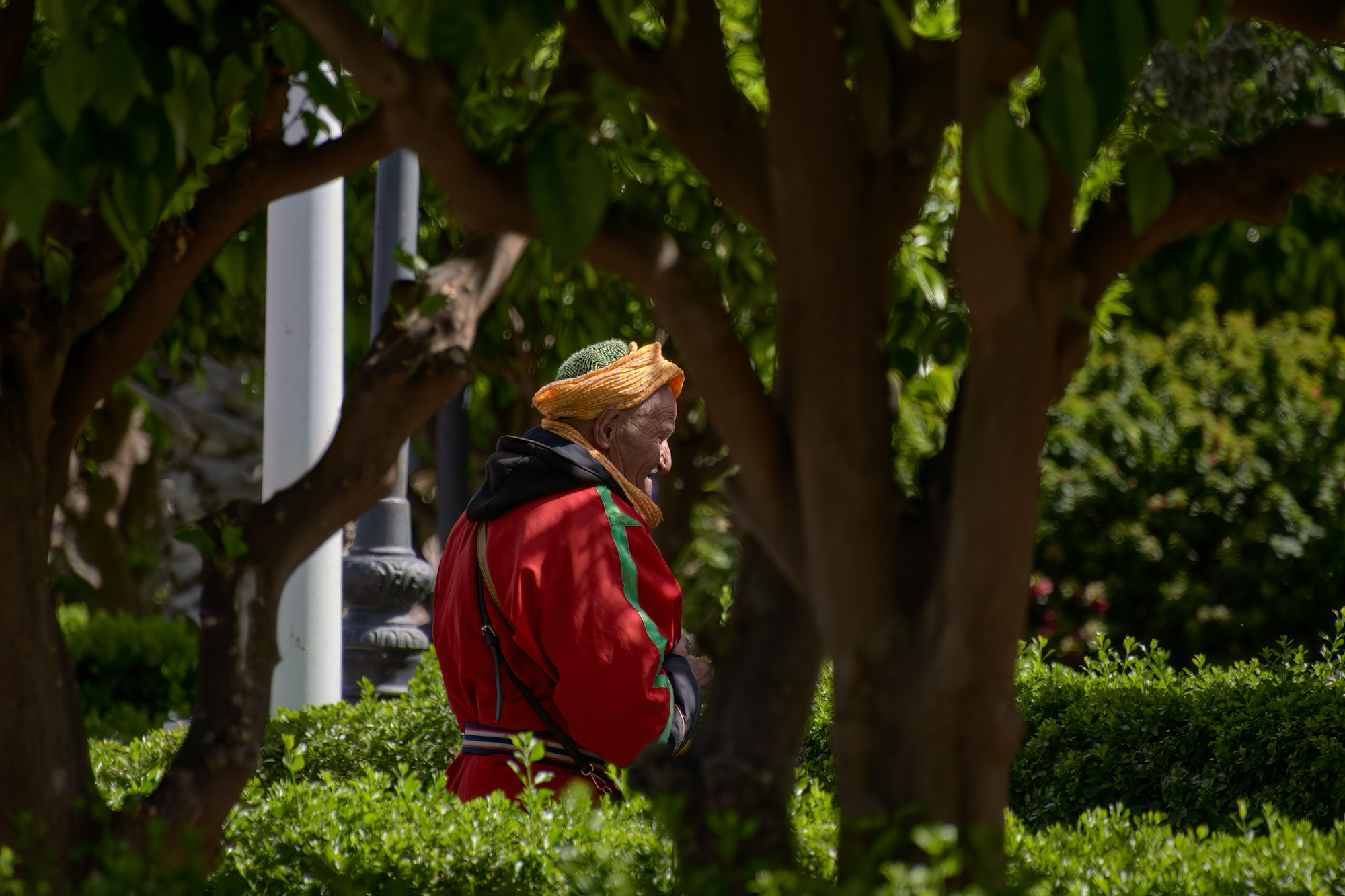 Indigenous Tribes of Morocco: Traditions, Customs, And Heritage - Afro ...