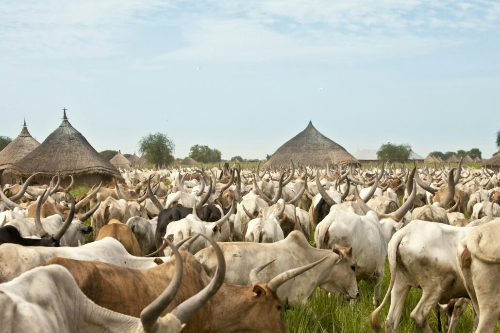 Exploring South Sudan'S Cultural And Natural Treasures: From Juba to ...
