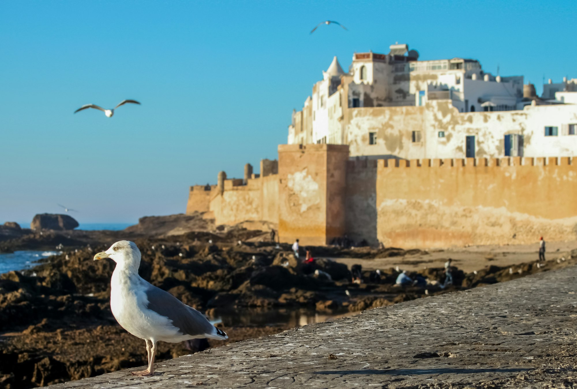 Islam in Morocco: History, Culture, And Community - Afro Discovery