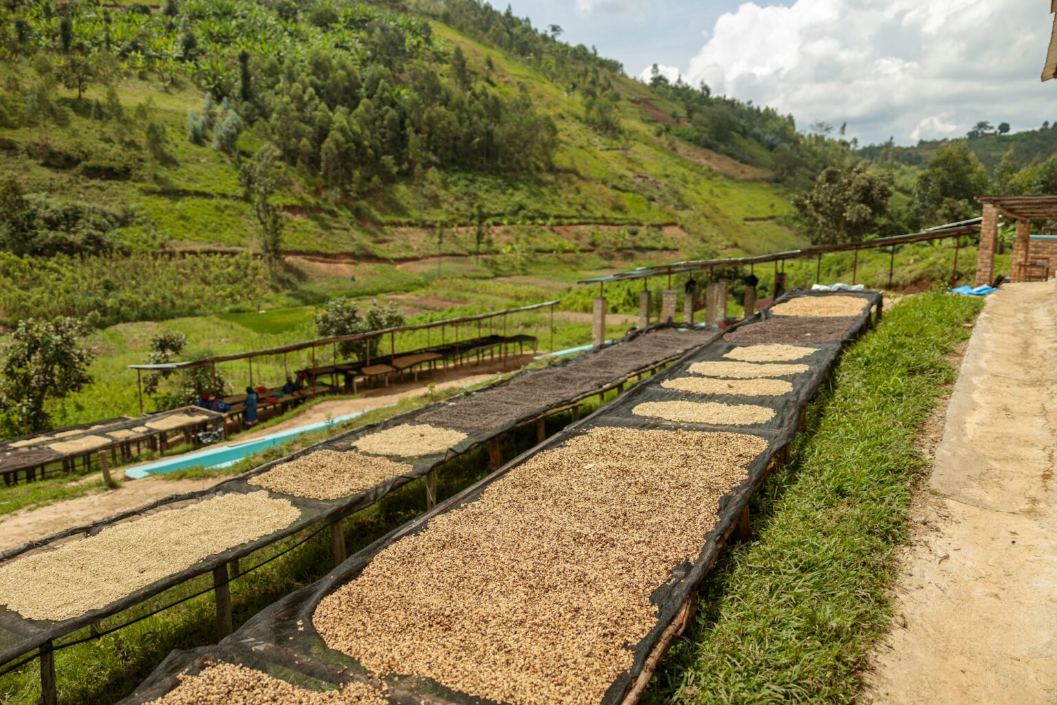 Agriculture in Rwanda: Challenges And Innovations for Sustainable ...