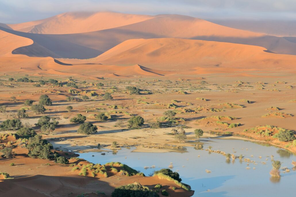 Exploring Namibia'S Spectacular Landscapes: From Sossusvlei to Etosha ...