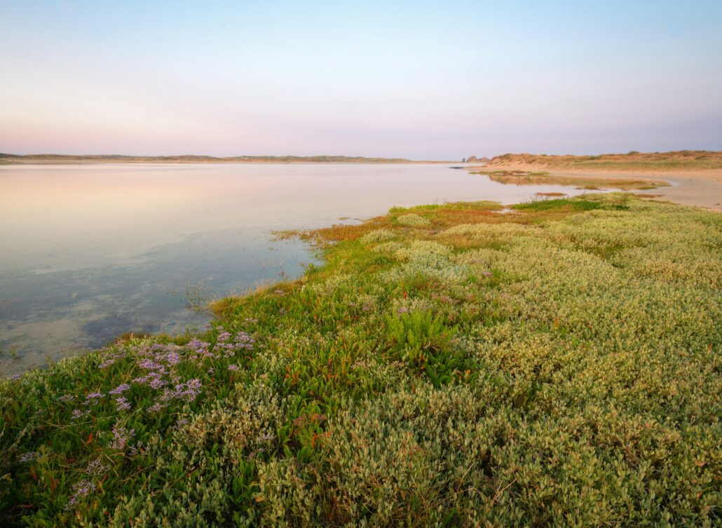 Understanding Togo'S Climate Patterns: A Guide for Travelers And ...