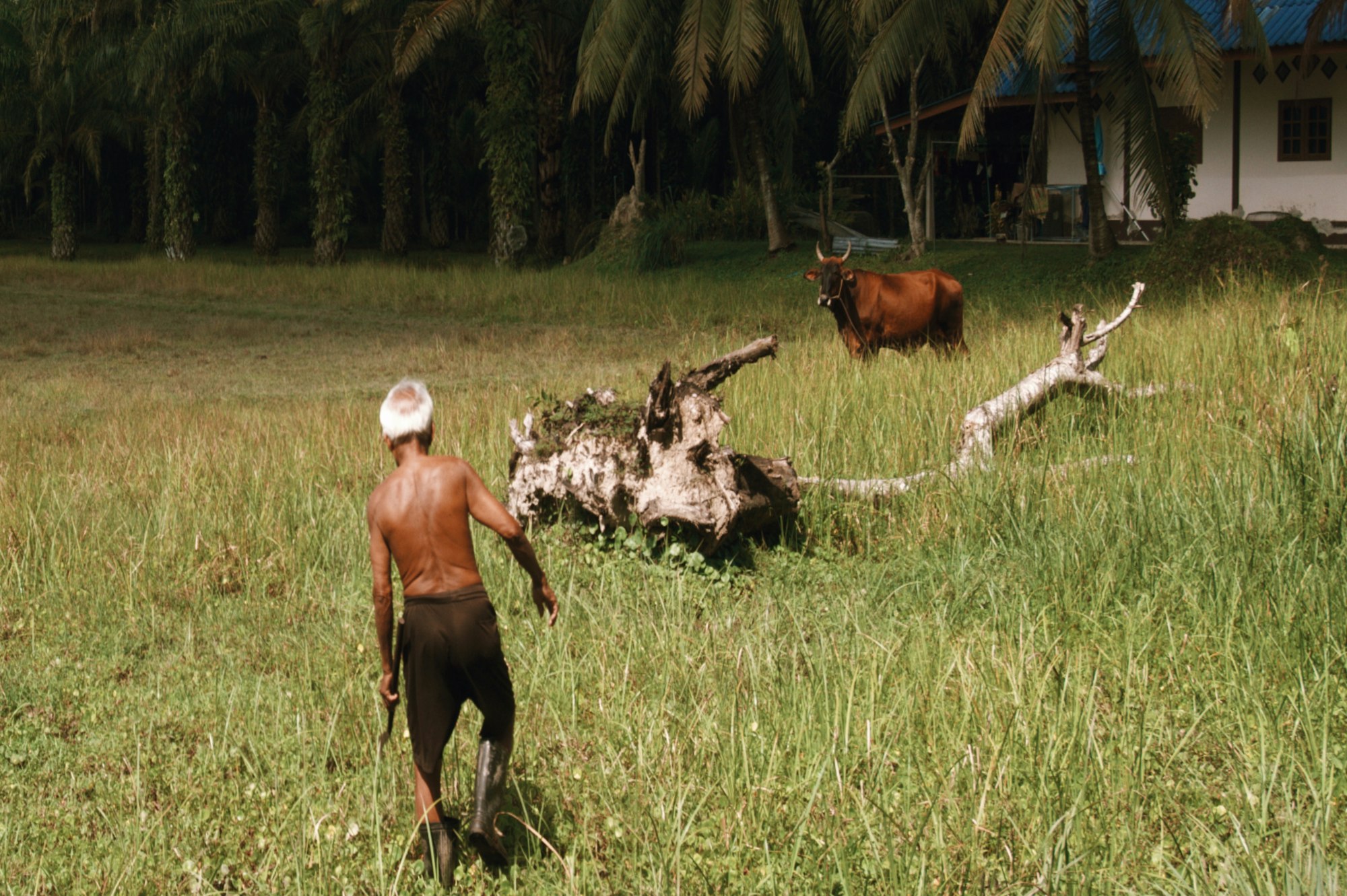 Indigenous Tribes of Mauritius: Traditions, Customs, And Heritage ...