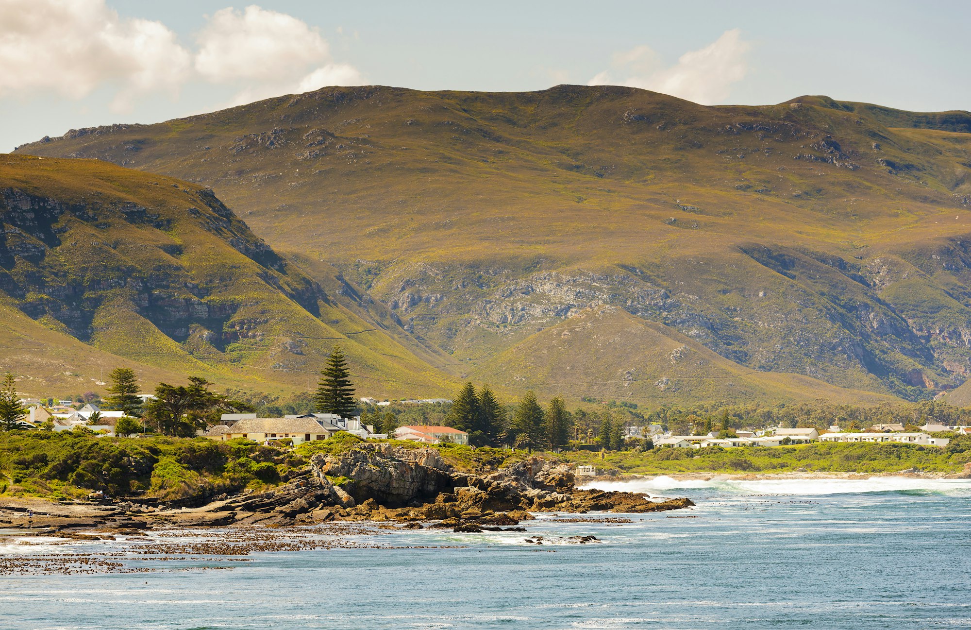 Sustainable Management of Resources in South Africa: Balancing ...