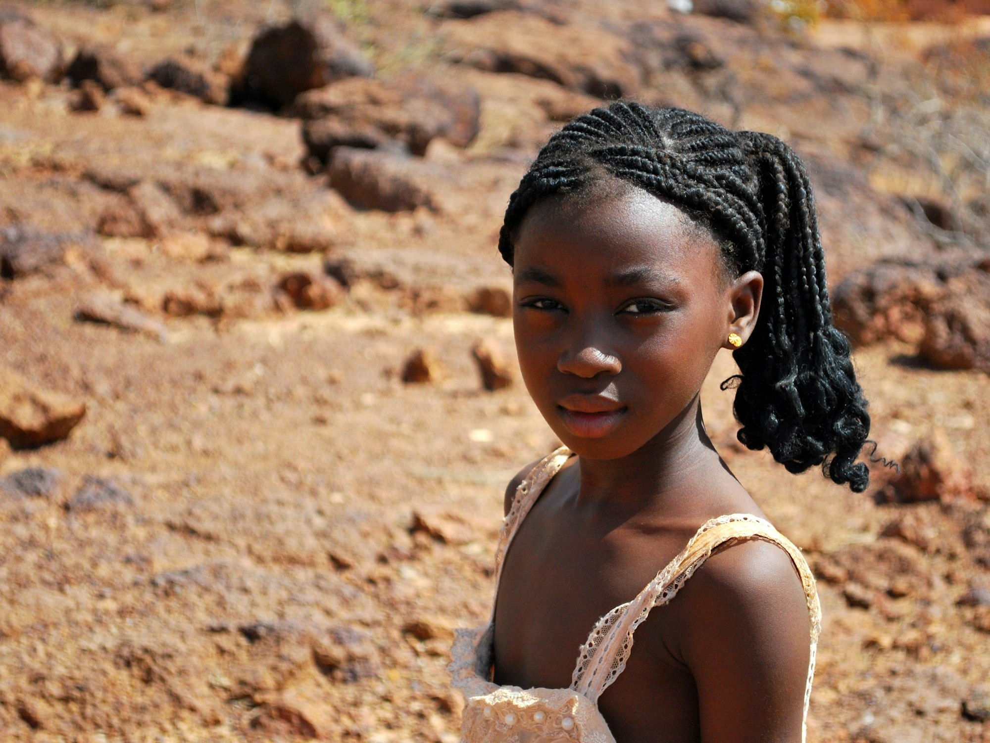 Indigenous Tribes of Niger: Traditions, Customs, And Heritage - Afro ...