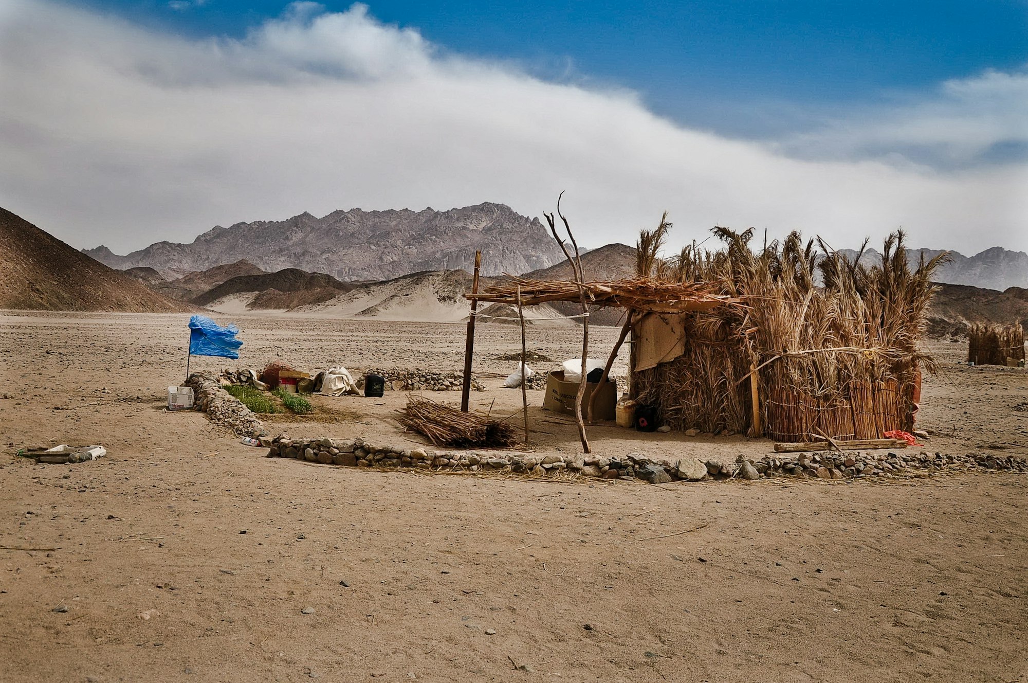 Indigenous Tribes of Morocco: Traditions, Customs, And Heritage - Afro ...