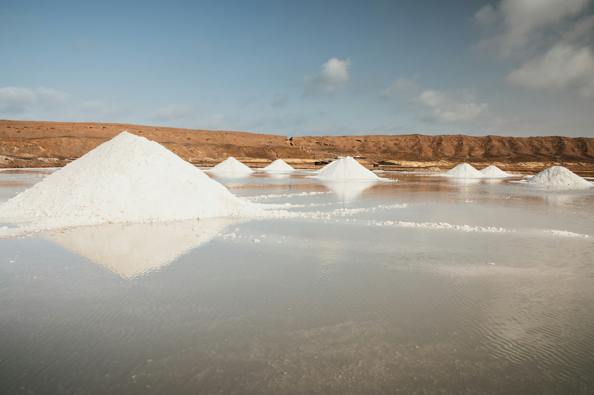 Conservation Efforts in Cabo Verde: Protecting Unique Fauna And Flora ...