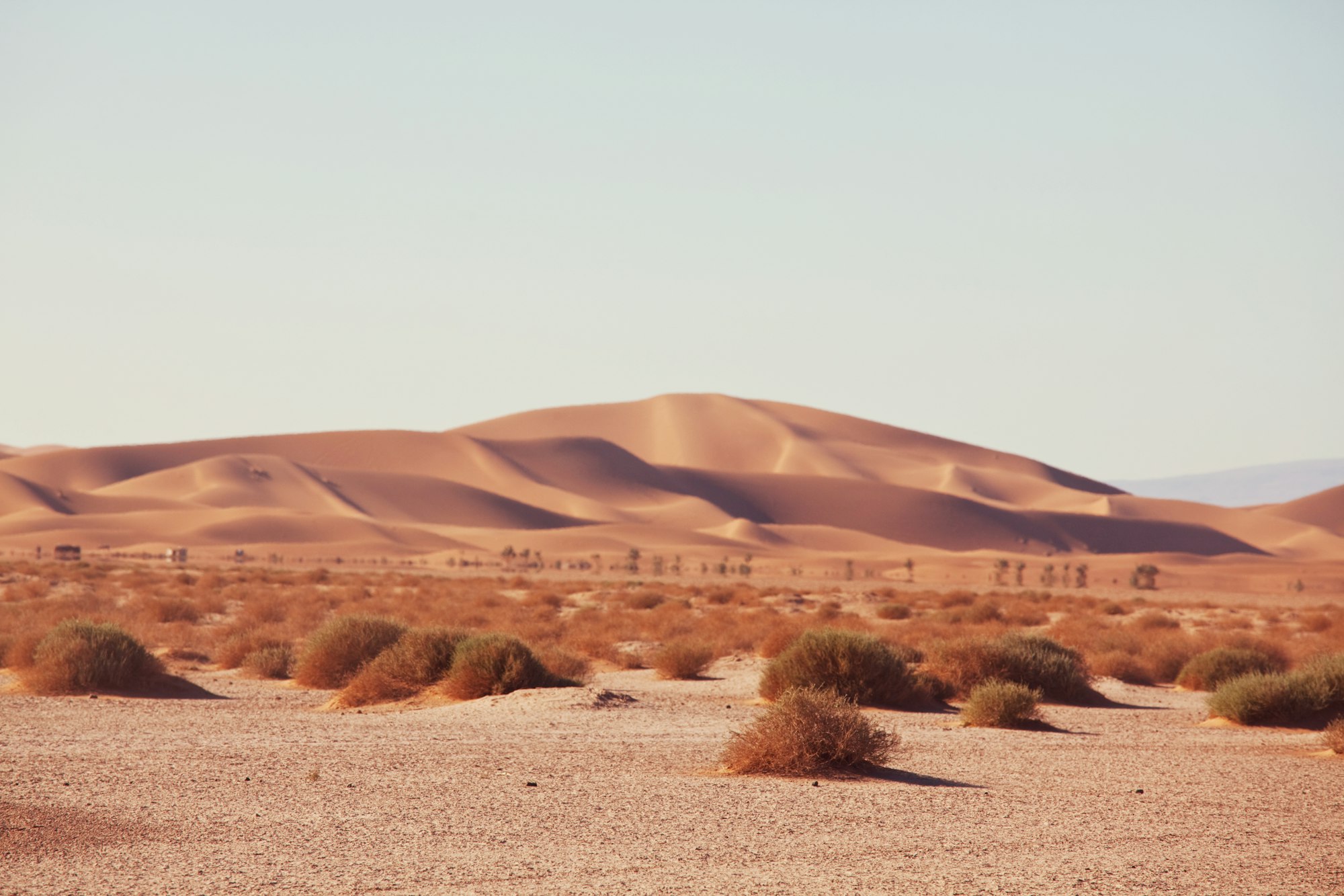 Discovering Niger'S Natural Wonders: From the Sahara Desert to the ...
