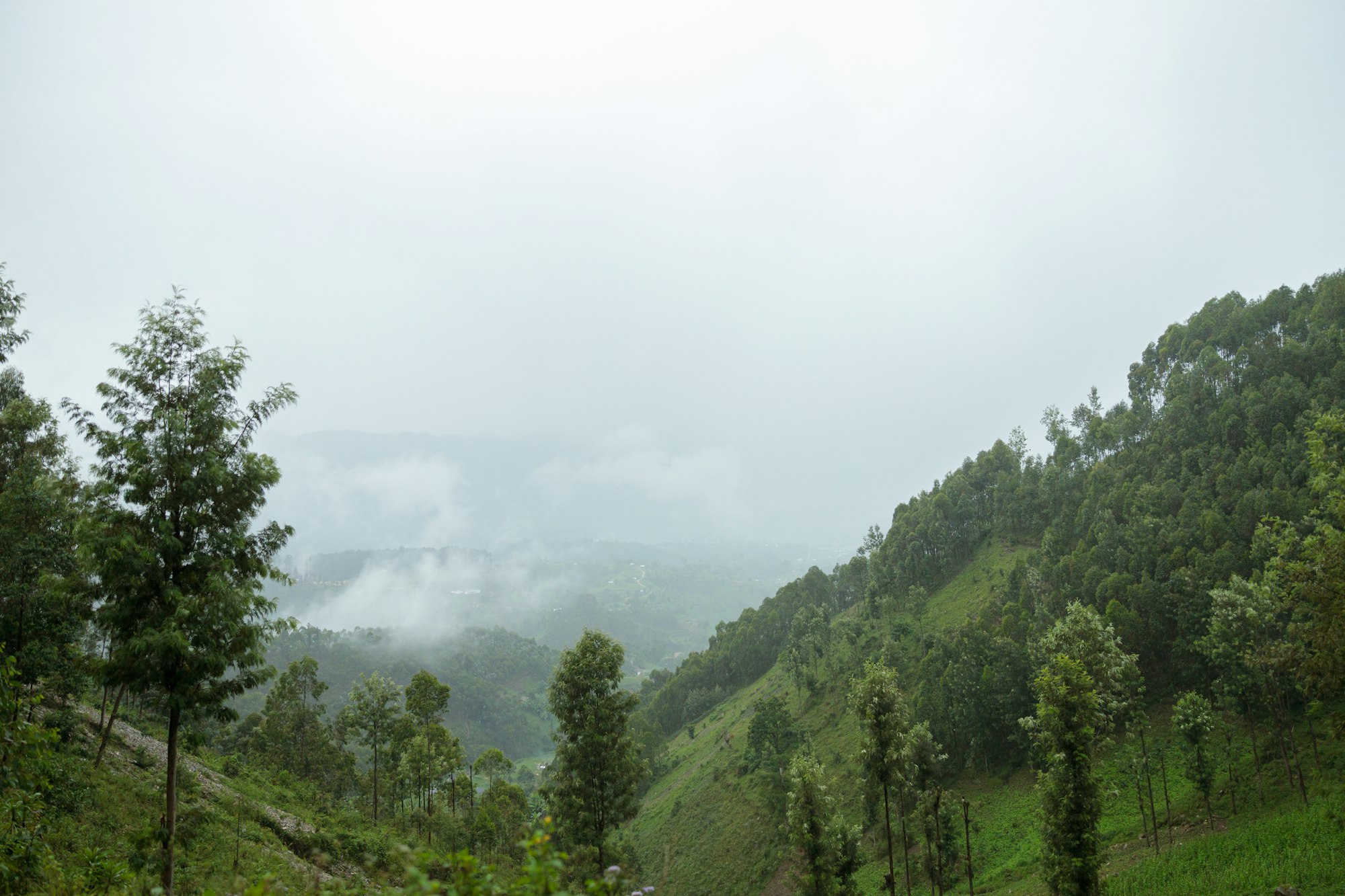 Discovering Nigeria'S Geographic Diversity: From Rainforests to ...
