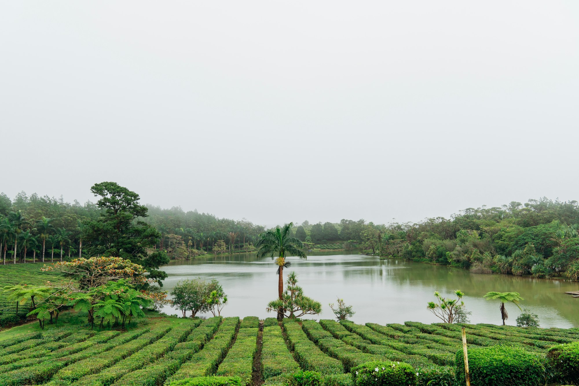 Sustainable Farming Practices in Mauritius: Enhancing Resilience And ...
