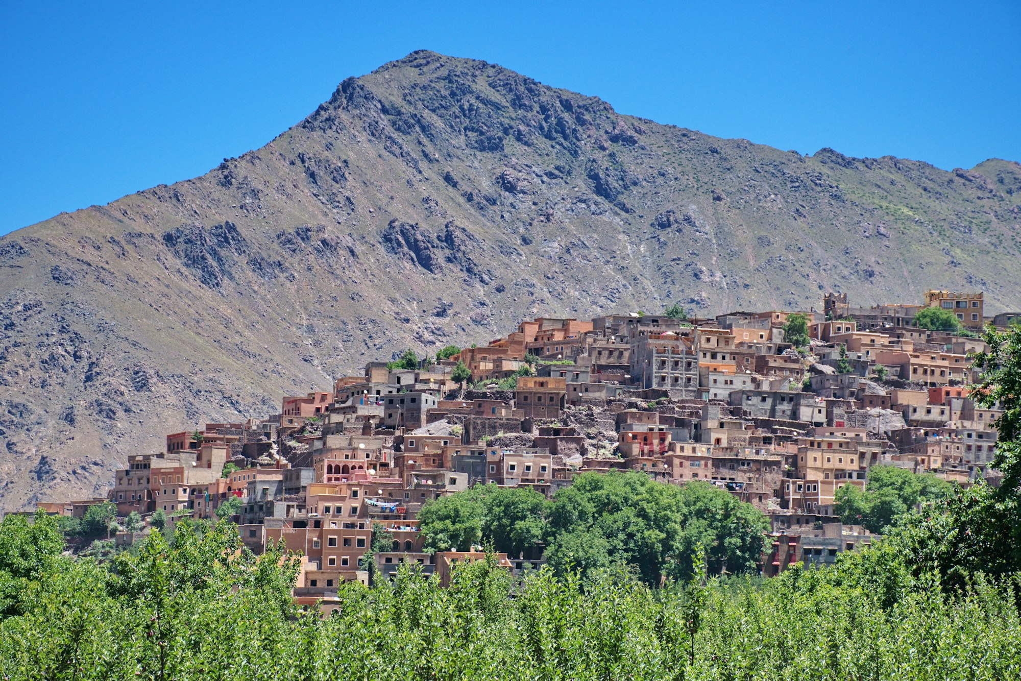 Population Dynamics in Morocco: Trends, Challenges, And Opportunities ...