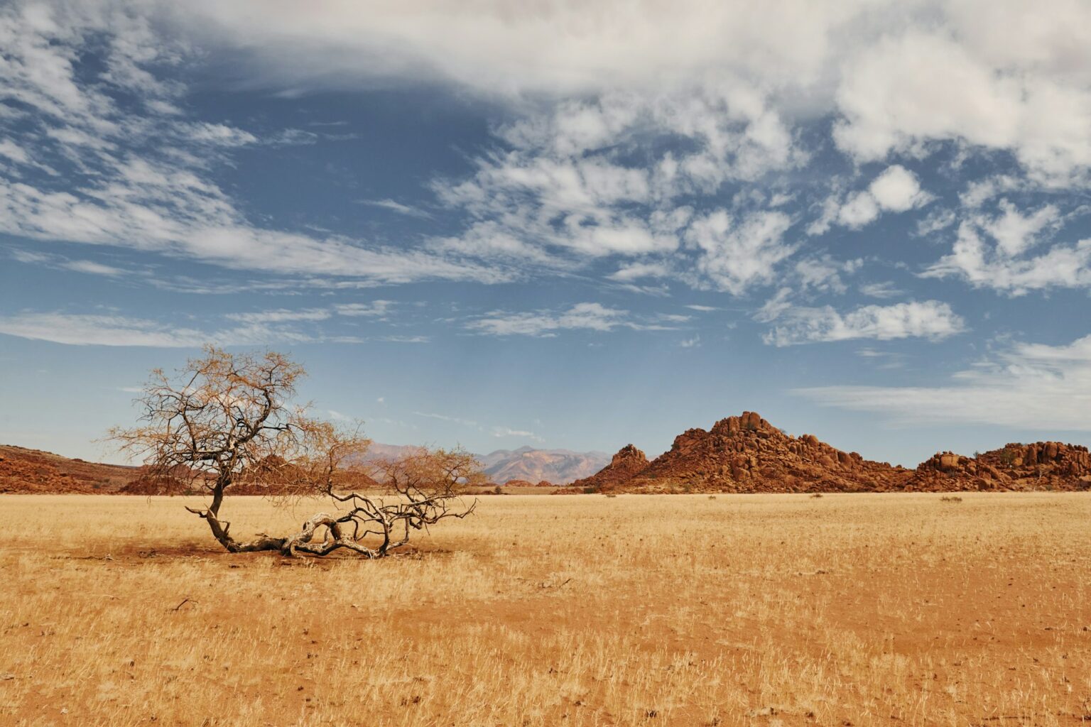 Understanding Nigeria'S Climate Patterns: A Guide for Travelers And ...