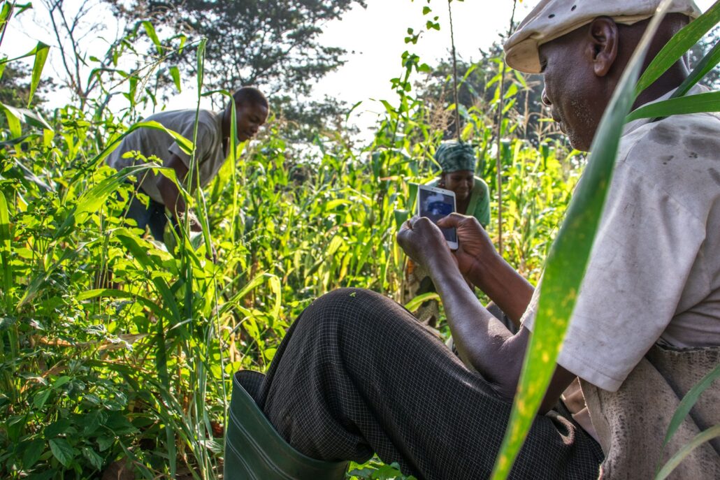 Togo'S Cultural Diversity: Exploring Ethnic Groups And Indigenous ...